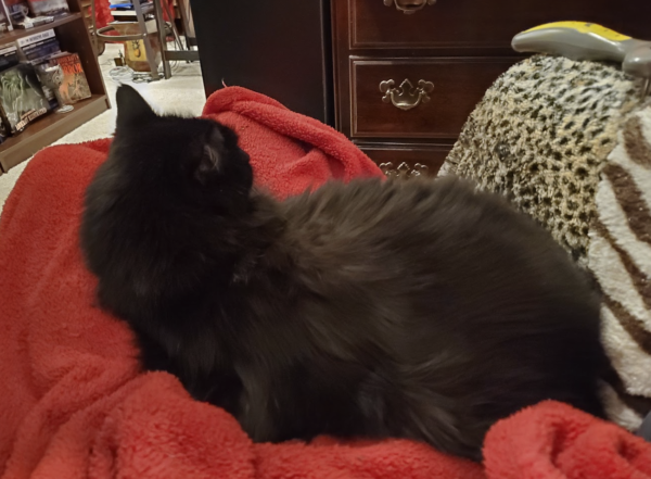 The Library of Dresan – Words, Art & Science by Anthony Francis